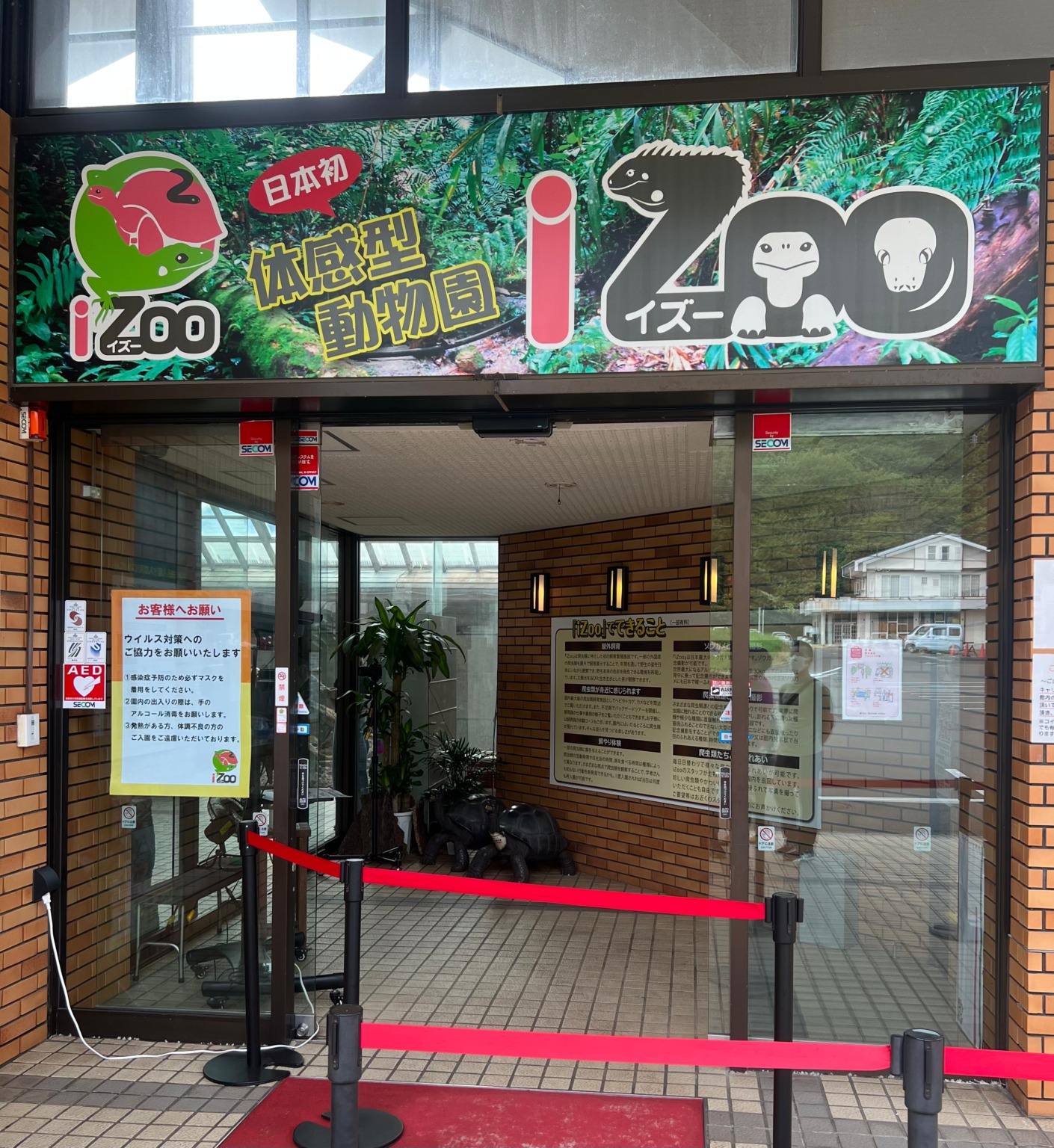 カメが室内を歩き回る？爬虫類と両生類の楽園『体感型動物園 iZoo』 | ゆるゆるバイオ研究会